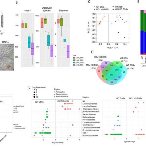 Pearson Correlation Of Microbial Community And Host Gene Expression In