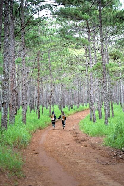 Premium Photo Women With Backpack Walking On The Forest Path Between Trees Photo