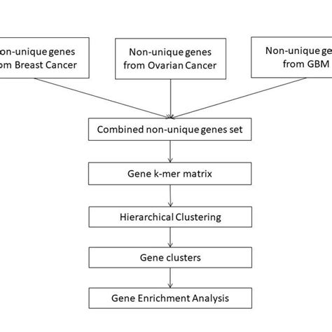 Analysis Pipeline Of The Proposed Algorithm Download Scientific Diagram
