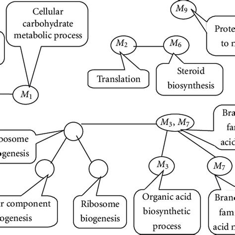 Example Of Hierarchical Modular Network Structure Download Scientific Diagram