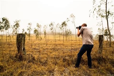 How Big Do Pecan Trees Get And What Yield To Expect 🐝 Actionable
