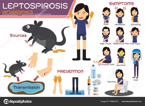 Leptospirosis Rash