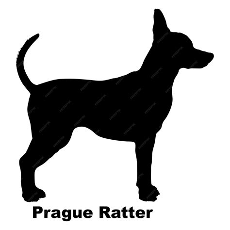 La Silueta Del Perro El Perro Prague Ratter Cría El Vector Del