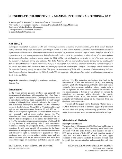 Pdf Subsurface Chlorophyll A Maxima In The Boka Kotorska Bay