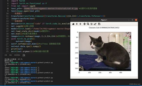 使用vgg框架实现从二分类到多分类vgg图像二分类github Csdn博客