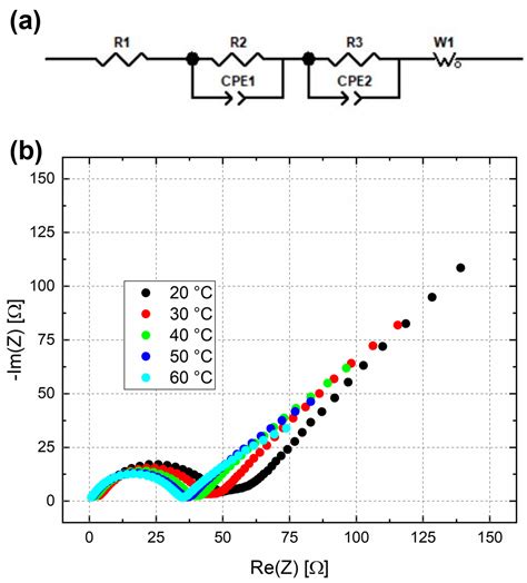 Aging Of A Lithium Metal Lfp Cell Predictive Model And Experimental Validation