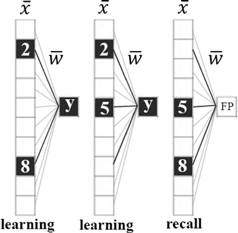 Linear Weighted Summation And A Simple Hebbian Principle Leads To A