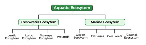 Types Of Aquatic Ecosystems And Their Adaptations Geeksforgeeks