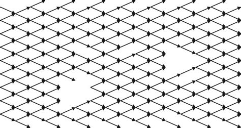 Phylobotanist Monophyletic Species Yet Again A Recent Example