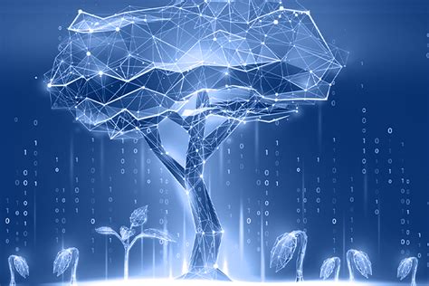 Qa Chronicles Part Three — Reaping The Rewards Of Transformation By