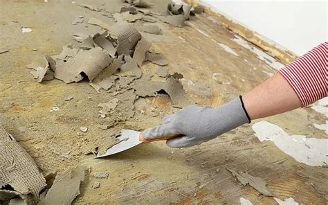 How To Remove Carpet Glue Selecting The Best Carpet Glue Remover