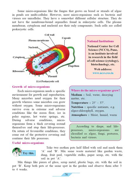 Maharashtra Board Th Standard Science Book PDF AglaSem