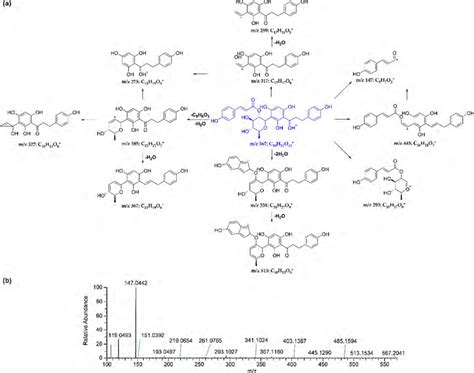 Proposed Fragmentation Pattern In The Positive Ion Mode A And Ms 2