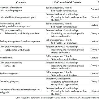 The Framework Of The Transition Care Program Download Scientific Diagram