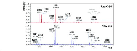 Maldi Tof Ms Spectra Of Raa And Now Type Total N Glycans The Maldi Tof Ms Spectra Of Raa And Now Type Total N Glycans The
