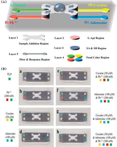 A Schematic Diagram For Detection Of Multiple Targets Layer 1 Is A Download Scientific