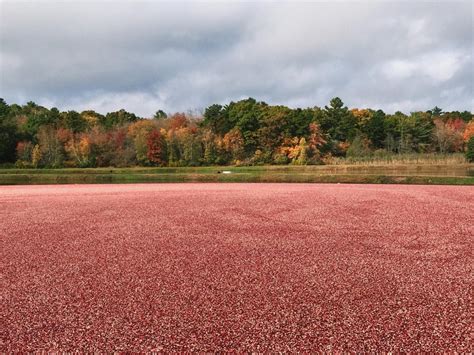 Barbara Ebert Posted On Linkedin