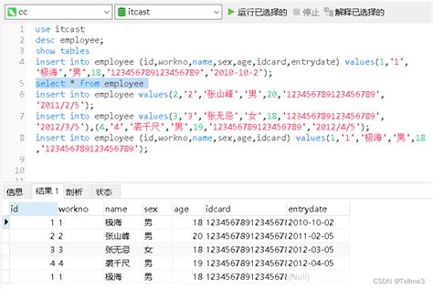 DML 数据添加详解 CSDN博客
