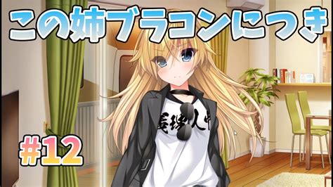【ブラコン】リアルエロゲシチュエーションdt 体験版 第12回【pc実況】 Youtube