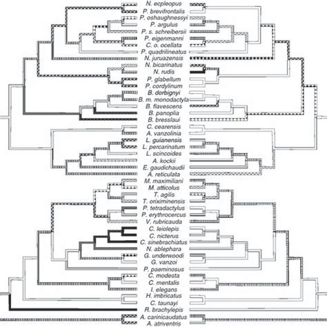 Morphometric Variables Considered In The Statistical Analyses From A Download Scientific