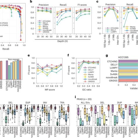 Benchmarking Etching And Other Sv Callers Over A Cancer Cell Line Download Scientific Diagram