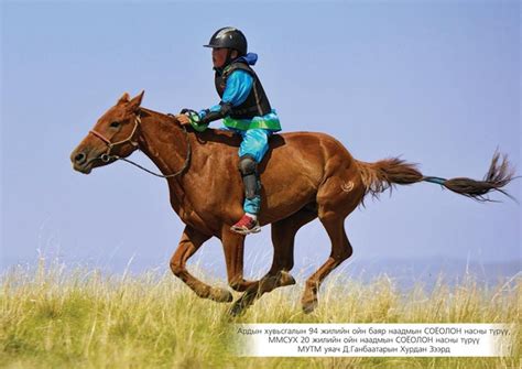 Энэ жилийн улсын наадмын түрүү соёолон Хурдан зээрдийн бай шагналыг та аваарай