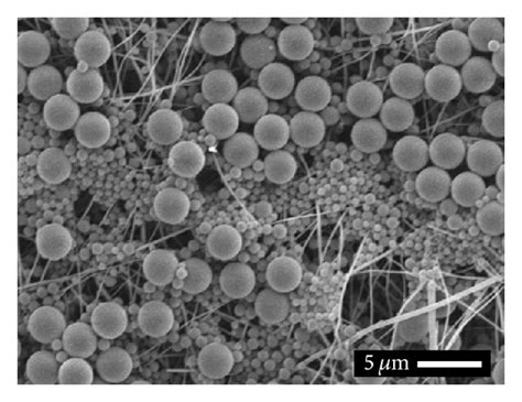 Latex Beads Removal Percentage Curve As Function Of Beads Diameter For