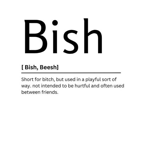 Bish Dictionary Definition Kaigozen Digital Art And Ai Humor