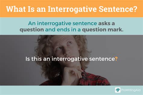 Interrogative Sentences Explanation And Examples