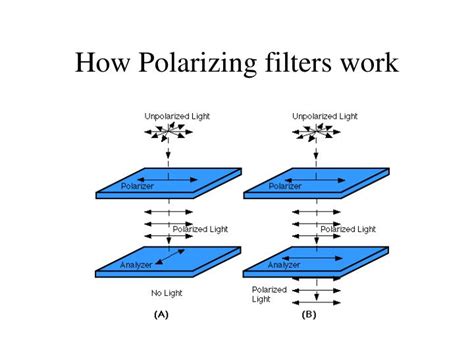 How A Polarization Filter Works At Merrill Lavallee Blog