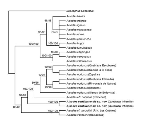 Figure S1 Bootstrap 50 Majority Rule Consensus Tree Of Maximum