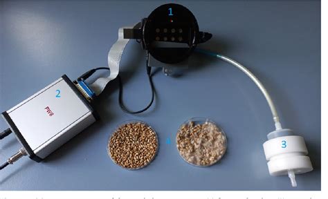 Figure 2 From Analysis Of Wheat Grain Infection By Fusarium Mycotoxin Producing Fungi Using An
