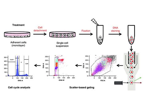 产品中心 吉诺生物 吉诺生命健康控股集团有限公司