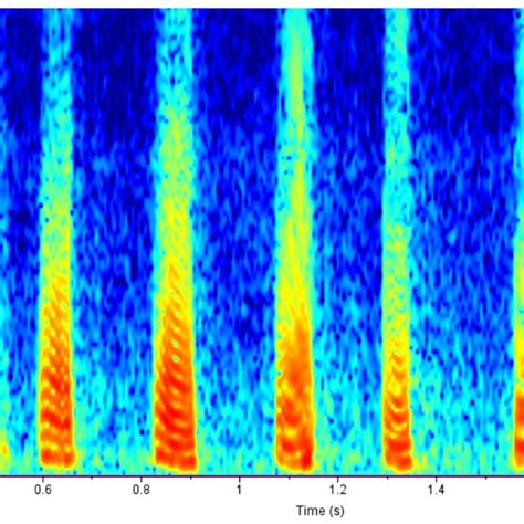 Calling Sound Spectrogram In The Form Of A Series With Very Short