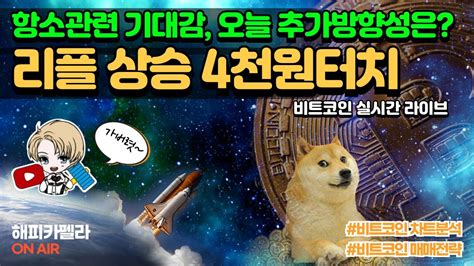 비트코인 실시간 리플 4천원 터치 항소 관련 기대감 추가 방향성은 115 아침💎비트코인 비트코인실시간 이더리움