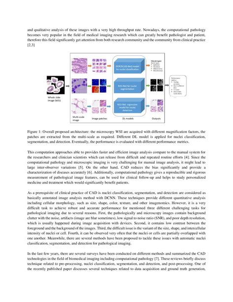 Microscopic Nuclei Classification Segmentation And Detection With Improved Deep Convolutional