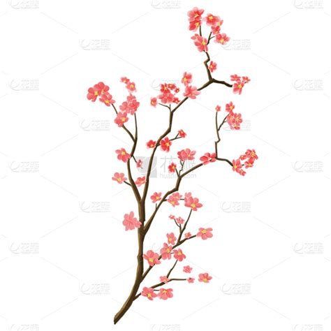 花瓣