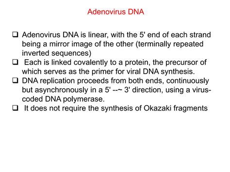 Replication Of DNA Viruses Ppt