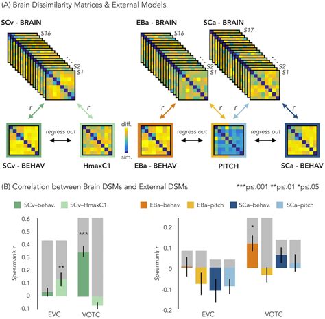 Representational Similarity Analysis Rsa Between Brain And Download Scientific Diagram