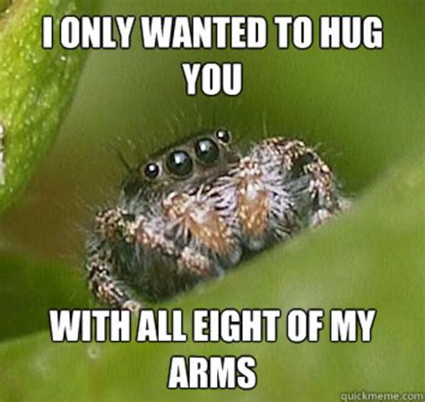 Friendly Spider Meme Face