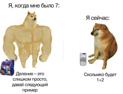 смешные мемы фразы Последние смешные картинки