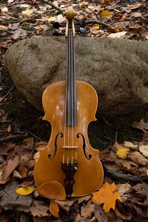 Bluejay Fiddles Bowed String Shop