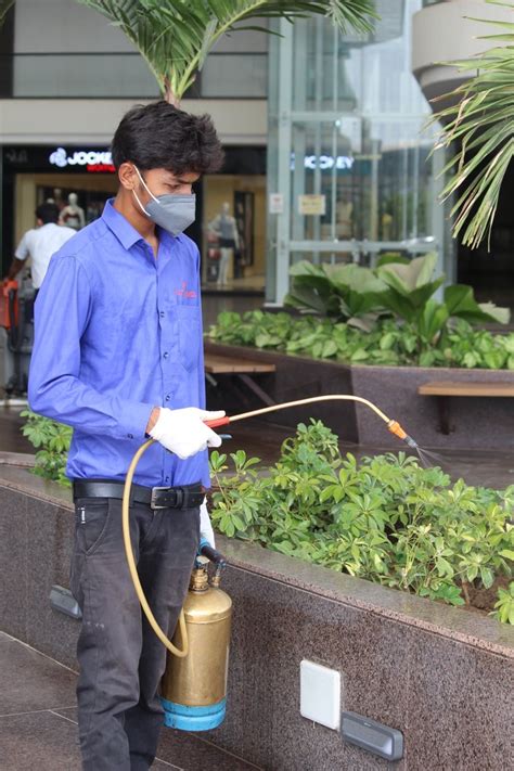 Best Pest Services At Affordable Price Dk Pest Control