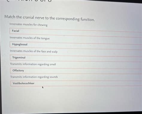 Solved Match The Cerebral Cortex Structure With Its