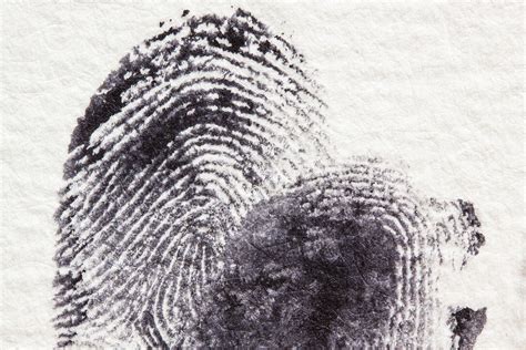 Development Of Latent Fingerprints With Silver Nitrate Carolina Knowledge Center