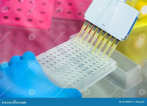Multichannel Pipette Stock Image Image Of Clinical Laminar