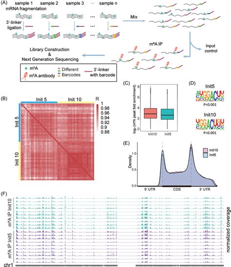 Technical Design And Validation Of Strategy Of Low‐input Multi‐barcode Download Scientific