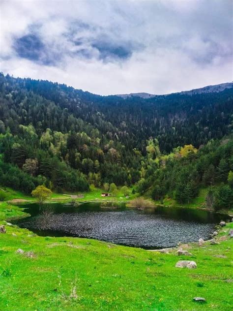 ჯეო 🍀 სიმწვანეში ჩაფლული ტანას ხეობა თრიალეთის კალთებზე მდებარე ულამაზესი ლევიტანას ტბა