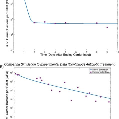 Preliminary Models Of Persistence Of Bacteria Introduced To The Murine