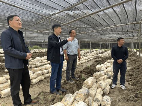 东至县工商联深入企业开展走访调研活动生产服务王连生